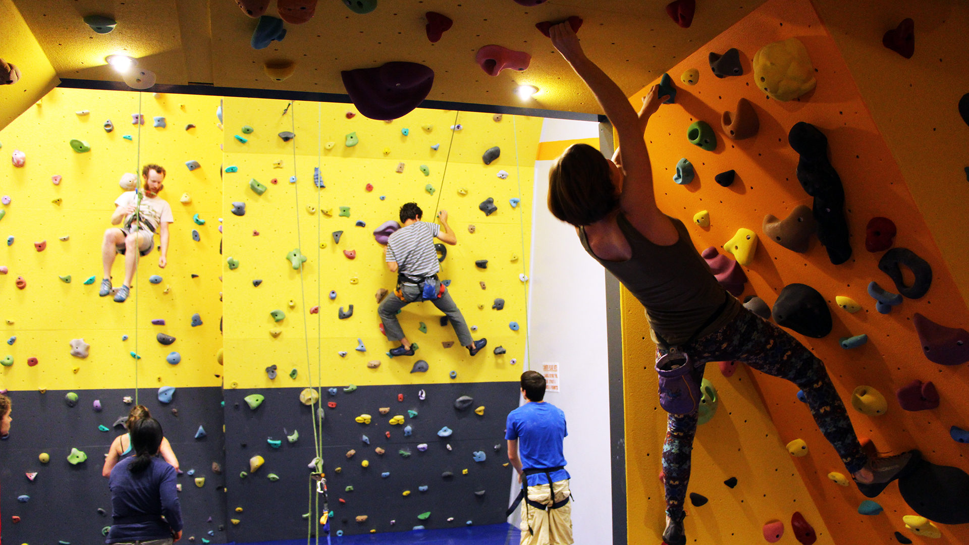 Armidale's Premier Indoor Climbing Experience | SportUNE
